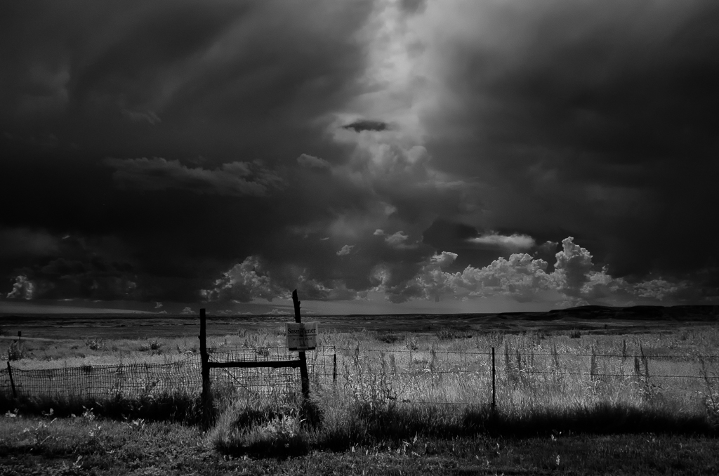 Digital Image Submissions 2015-2016 | Schenectady Photographic Society